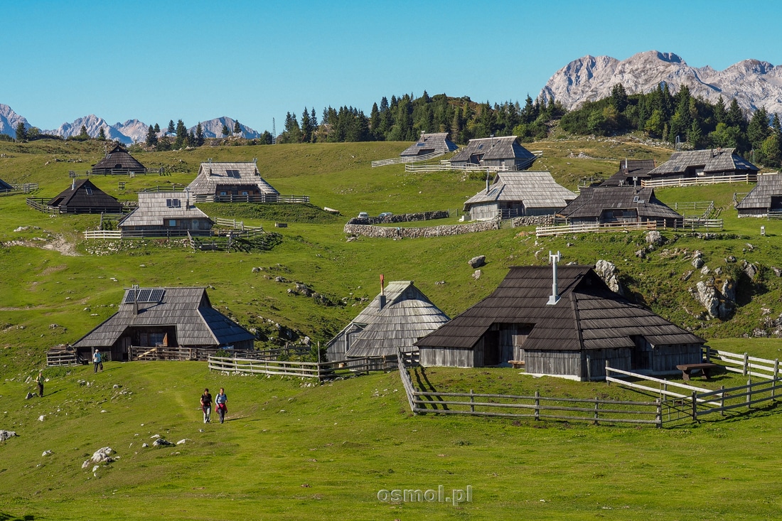 Magiczna Velika Planina P askowy W G rach S owenii Magiczna Velika Planina P askowy W G rach S owenii
