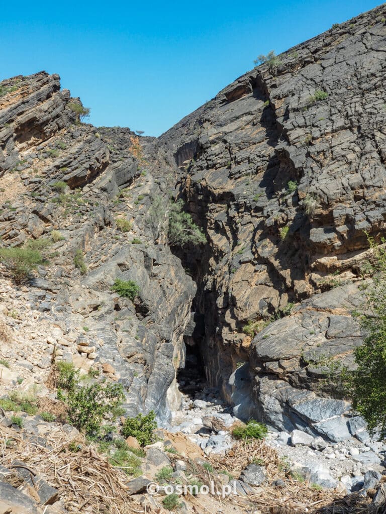 Droga do Kanionu Węża w górach Al-Hadżar. Oman